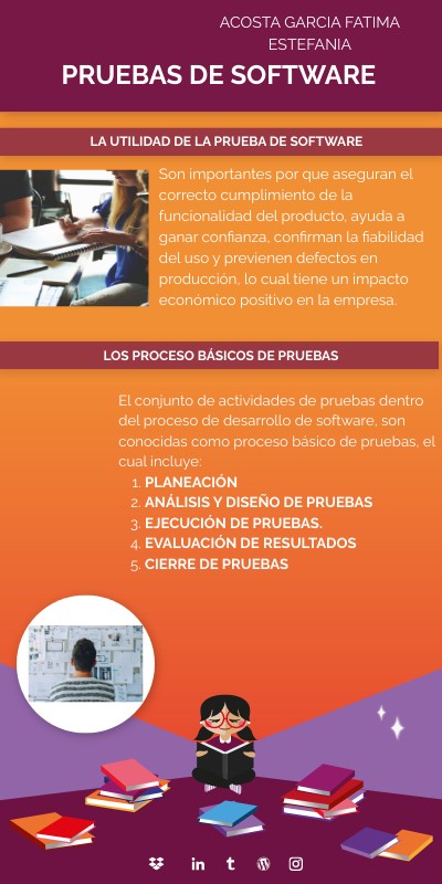 PRUEBAS DEL SOFTWARE