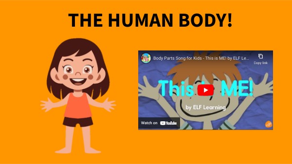 PARTS OF THE BODY | Genially