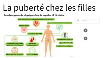 puberté chez la femme | Genially