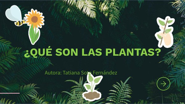 Presentación Plantas
