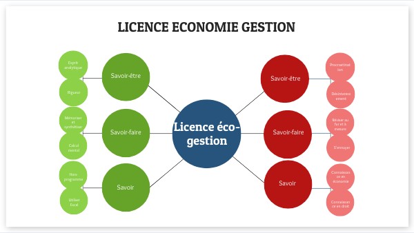 Mindmap éco gestion