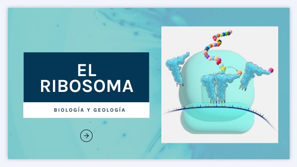 RIBOSOMA BIOLOGÍA | Genially