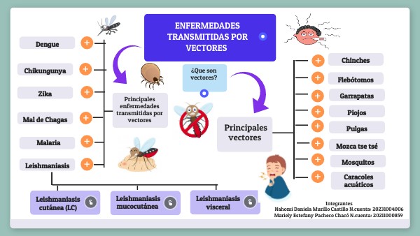 Mapa conceptual sobre enfermedades transmitidas por vectores | Genially