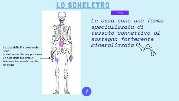 LO SCHELETRO | Genially