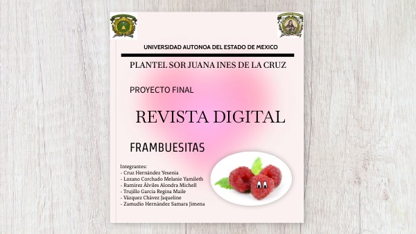 revista