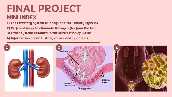 Final Project | Genially