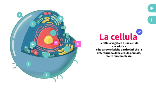 Interactive cell poster