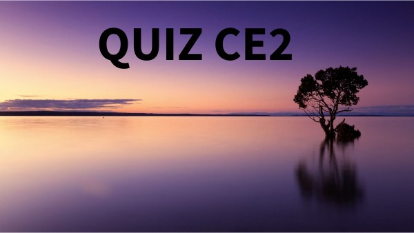 Quiz