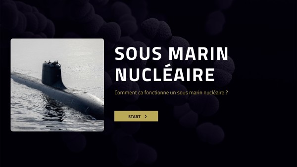 Microparticles Presentation Genially