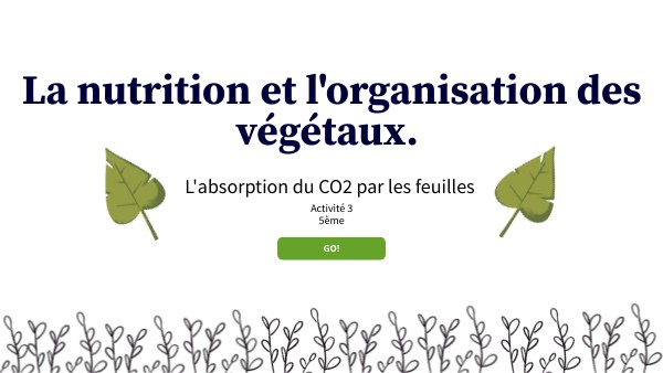 L'absorption du CO2 par les feuilles | Genially