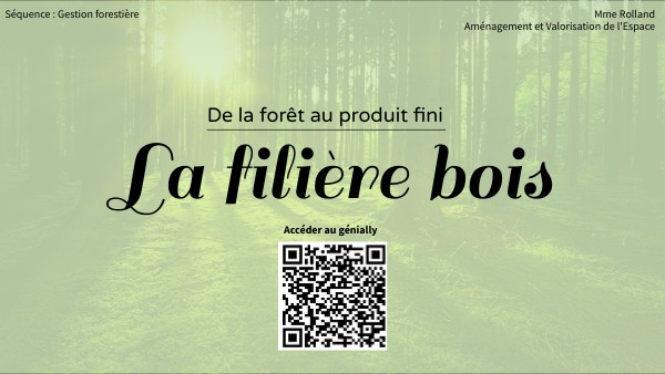 La filière bois | Genially