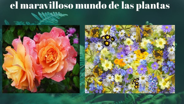 El maravilloso mundo de las plantas | Genially