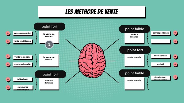 Copie - Carte mentale cerveau