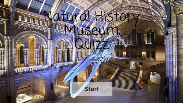 Quizz Natural History Museum | Genially