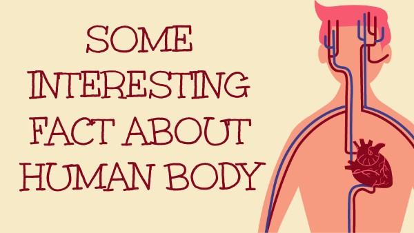 Human Body Presentation | Genially