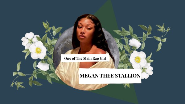 MEG THE STALLION