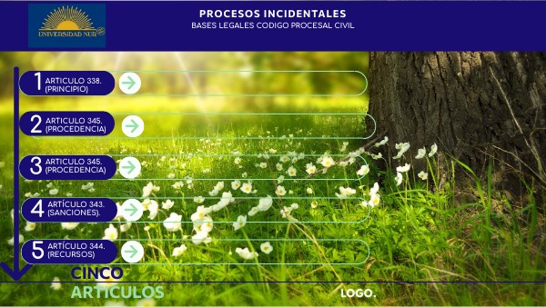 Proceso Incidental