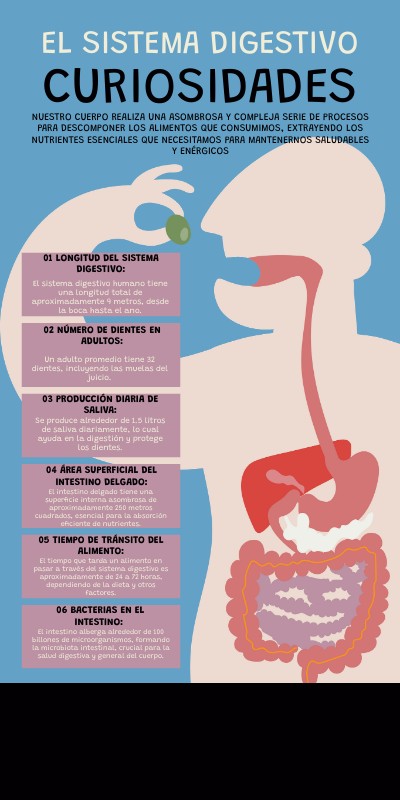 Curiosidades del sistema digestivo | Genially