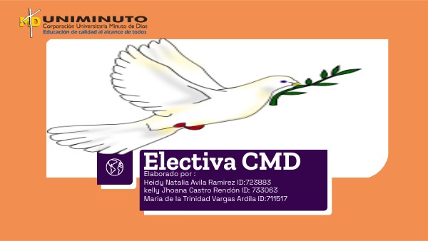 Electiva CMD N