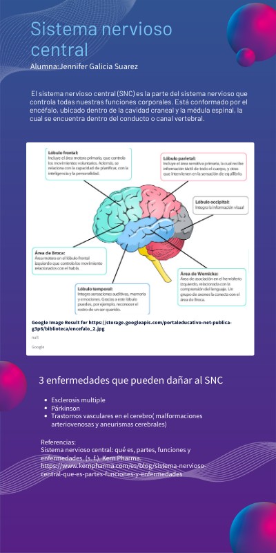 Sistema Nervioso Central | Genially