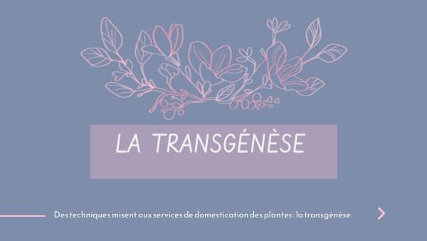 Transgénèse