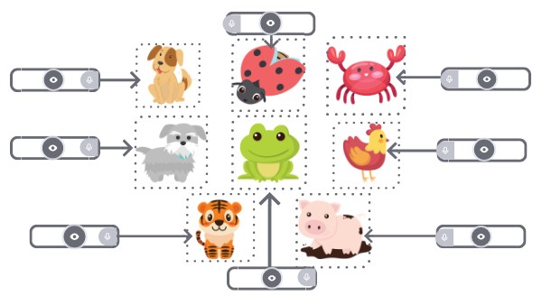 ANIMALS