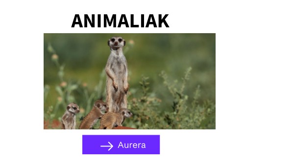 Animaliak