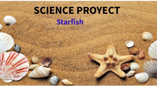 SCIENCE PROYECT IBAI | Genially