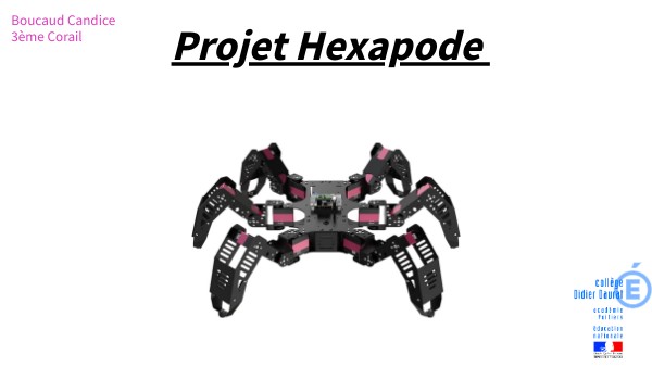 Présentation minimaliste | Genially