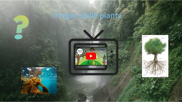 Il regno delle piante | Genially
