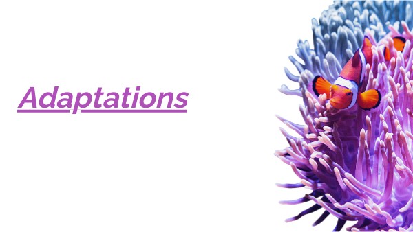 Adaptations | Genially