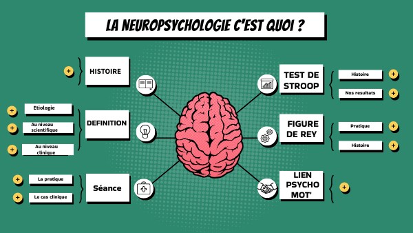 Carte mentale cerveau | Genially