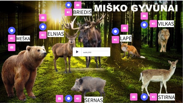 Miško gyvūnai