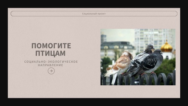 ZEN MICROSITE GUIDE | Genially