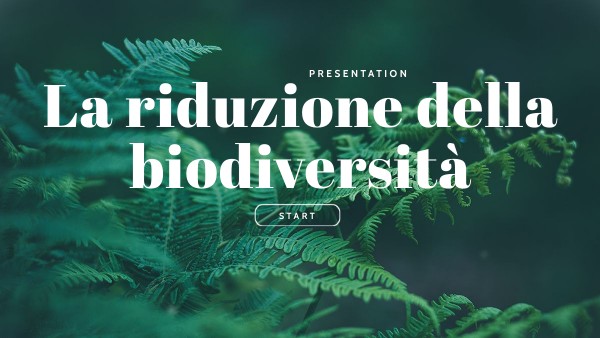 NATURE PRESENTATION
