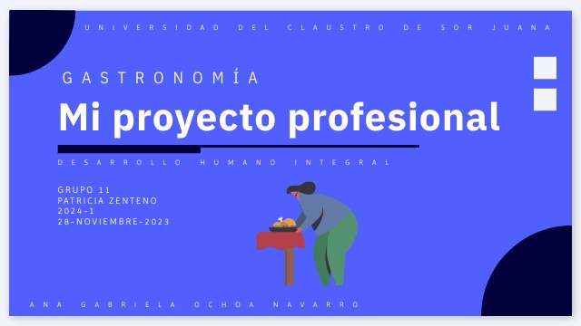 Mi proyecto profesional