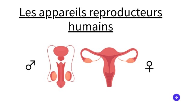 Appareils reproducteurs