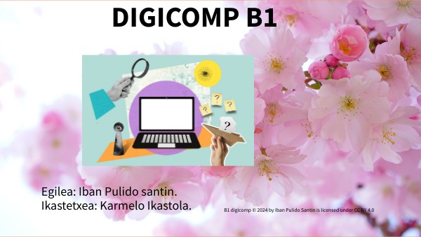 DIGICOMP B1