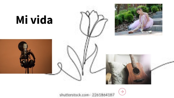 mi vida
