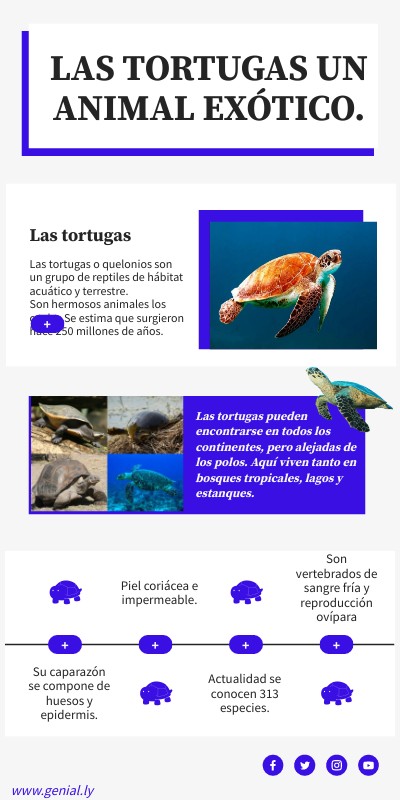 BASIC DIGITAL INFO | Genially