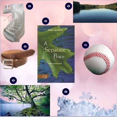 A Separate Peace choice project