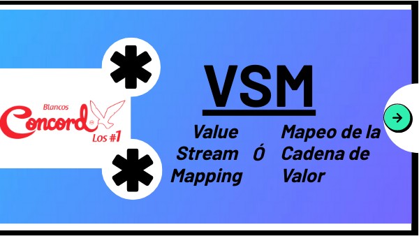 3.2 VSM