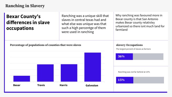 Isaac Leal - Bexar County Infographic