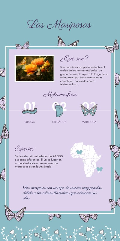 INFO VERTICAL MARIPOSAS