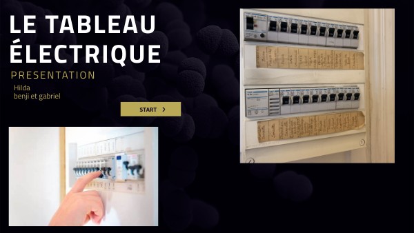 Microparticles Presentation