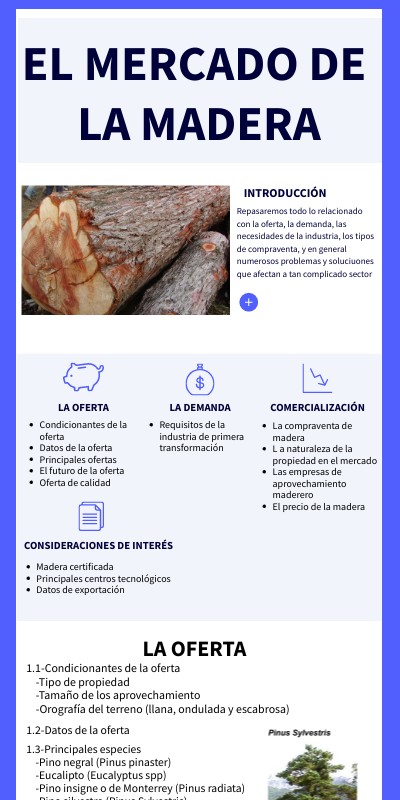 MERCADO DE LA MADERA