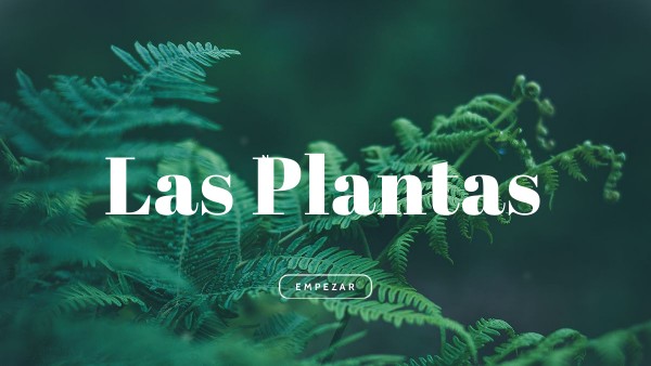 Las Plantas | Genially