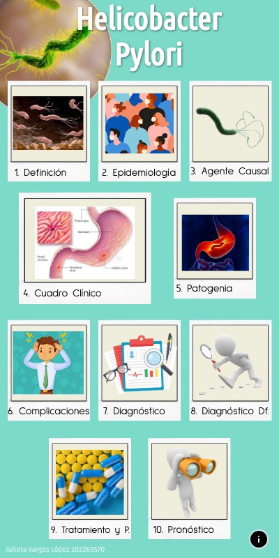 Helicobacter Pylori | Genially