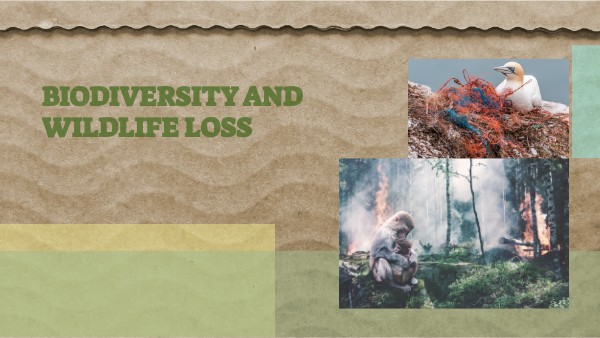 BIODIVERSITY AND WILDLIFE LOSS
