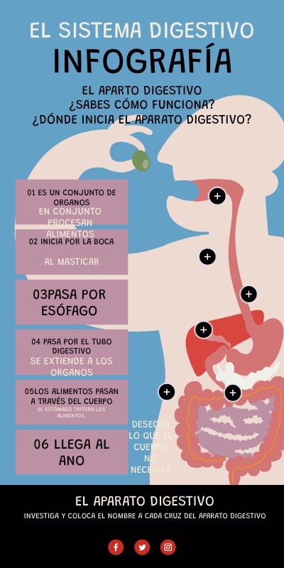 INFO VERTICAL DIGESTIVO
